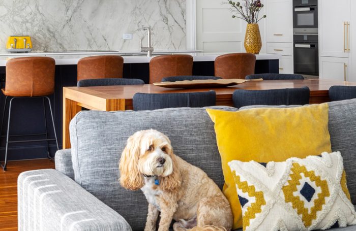 Blending Period Homes with Modern Design Period Home Extensions ...